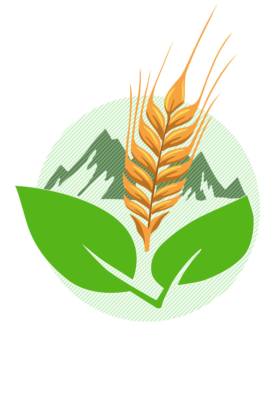 Chilalo Food Complex - Justjobset